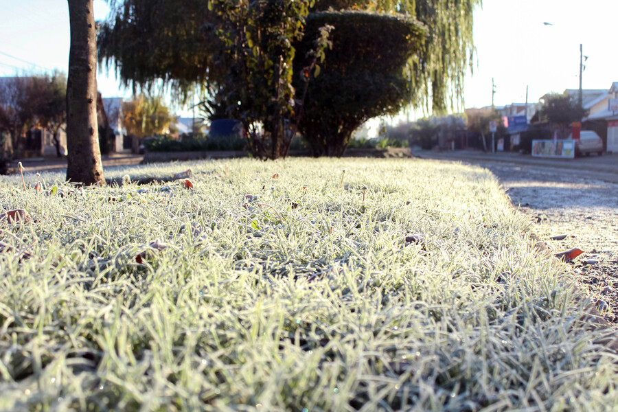 Hasta -5°C: Anuncian heladas para siete regiones de Chile