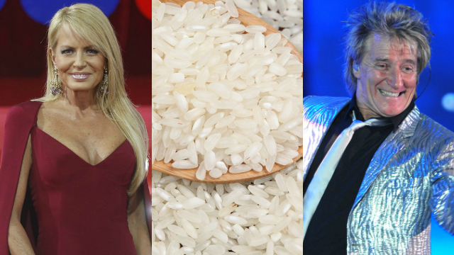 Alfonso Castro | 13Now