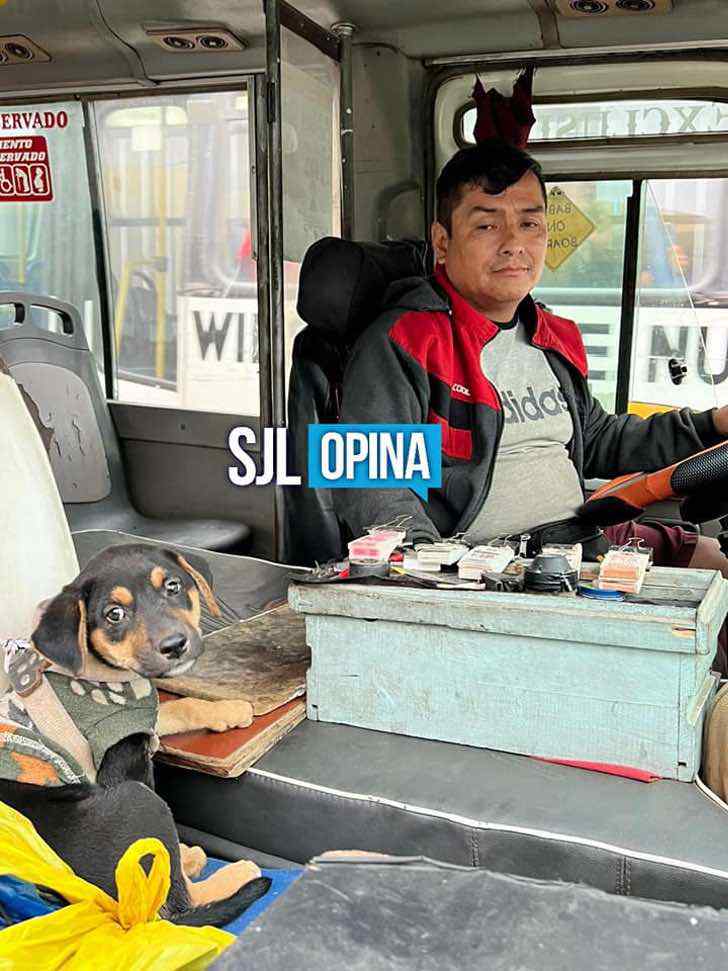 ”Es familia”: Chofer realiza su recorrido en compañía de su perrito para no dejarlo solo en casa