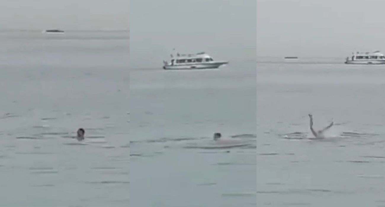 Imágenes de alto impacto: joven ruso es devorado por tiburón en Egipto