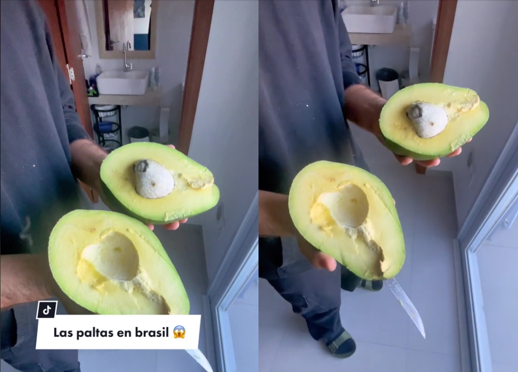”Costó 600 pesos”: Chilena quedó sorprendida con tamaño y precio de la palta en Brasil