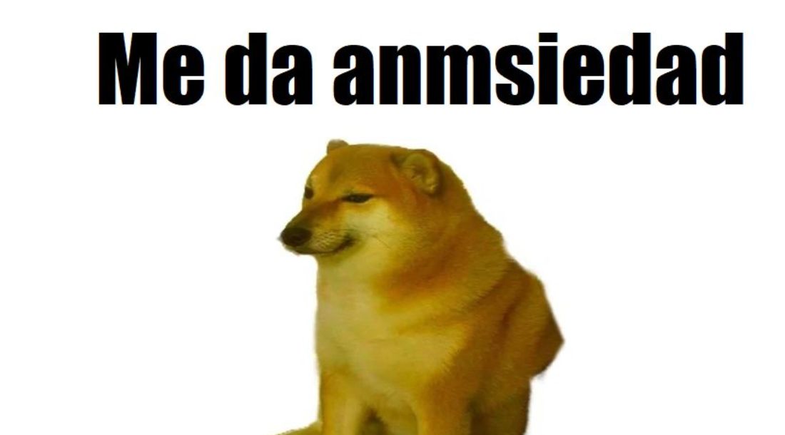 'Cheems' preocupa por su grave estado de salud: perrito de lo memes ha ...