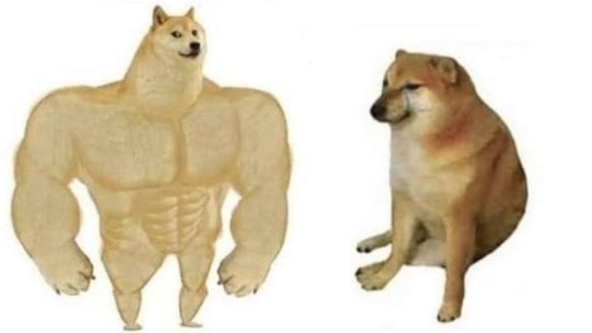 ¿Qué hace un perro meme en el logo de Twitter en vez del clásico pájaro ... ¿Qué hace un perro meme en el logo de Twitter en vez del clásico pájaro ...