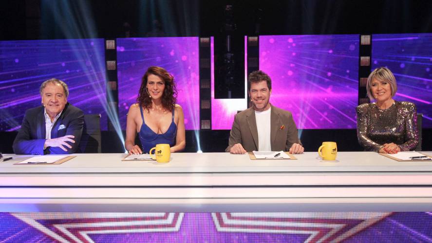 Qué es el quique, el particular animal encontrado en Las Condes | T13