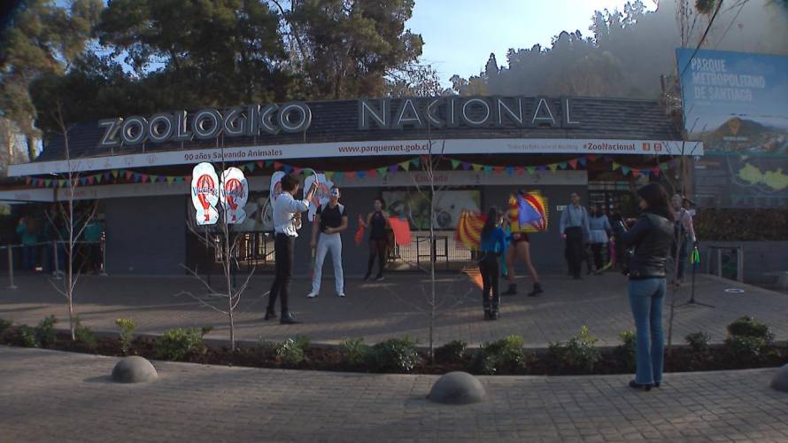 Zoológico Nacional reabrió sus puertas: Conoce los horarios y las ...