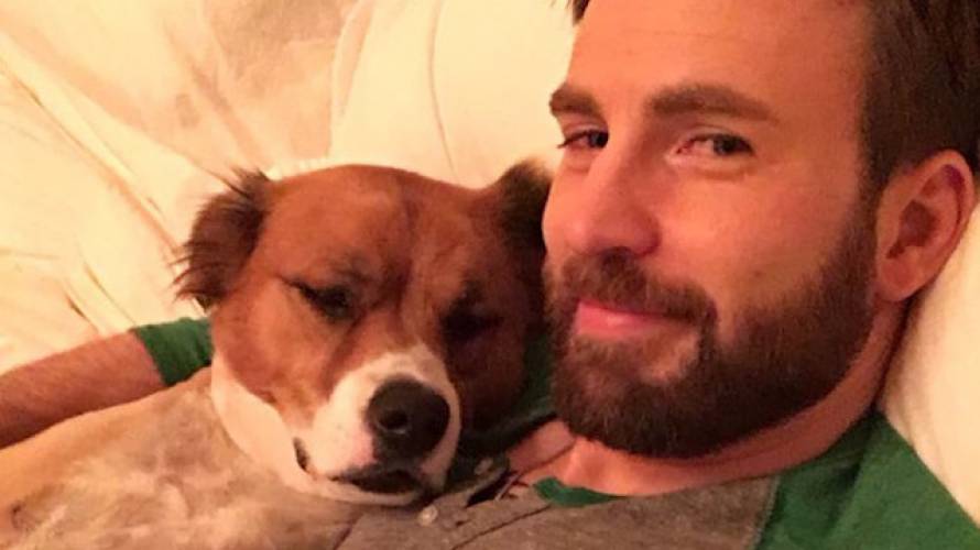 El lindo consejo de Chris Evans para esta cuarentena: “Adopta un perro”