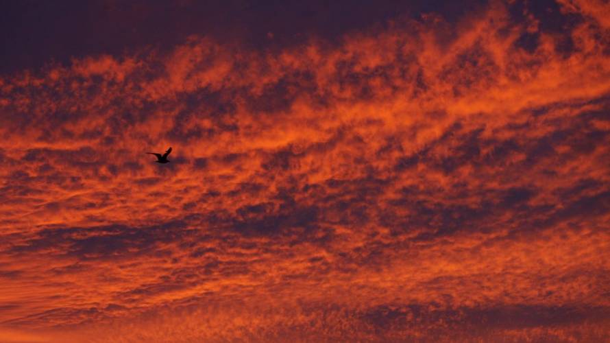 Perfectos para una foto al atardecer: ¿Qué son los arreboles?