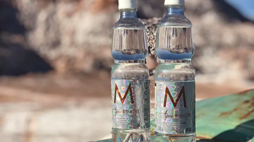 La iniciativa de MORE Chile para contribuir a la emergencia climática