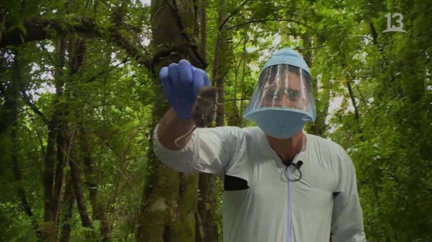 Pancho se transformó en biólogo de vida silvestre