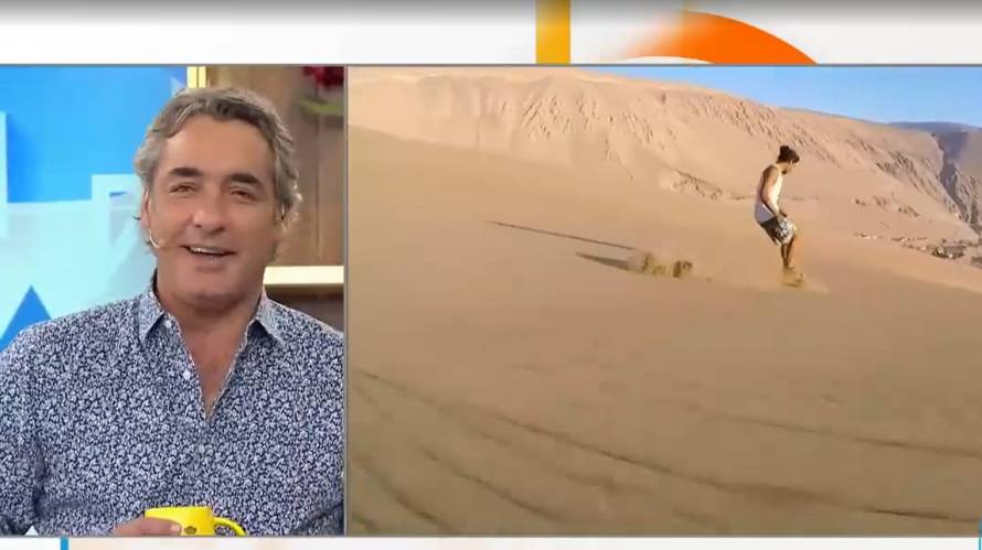 La historia de "Angel": el único delfín albino cautivo en el mundo | T13