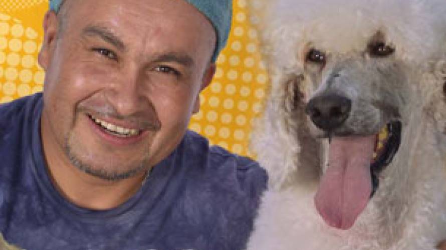 Rodrigo y Peter Parker | 13.cl